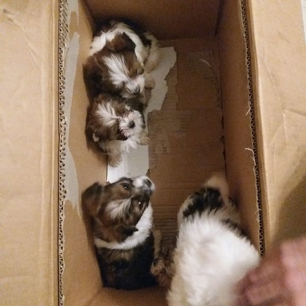 Photo Khat khati Studio(فوتو خط خطی) - تبریز, آذربایجان شرقی