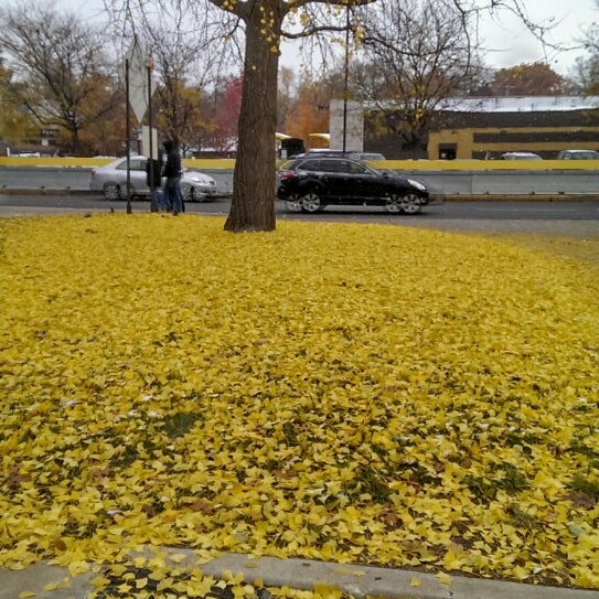 Forney Hall of Chemical Engineering (FRNY) (Now Closed) - 1 tip