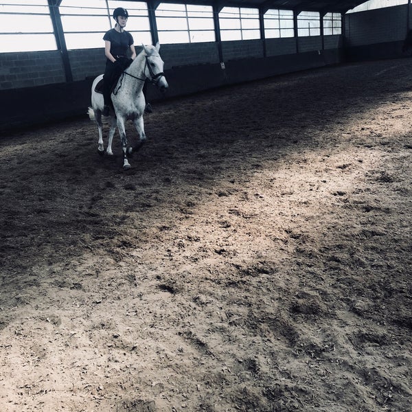 Manege Dagen van Het Paard - 1 tip