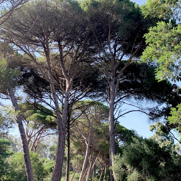 R'Milate - Mountain in Tanger