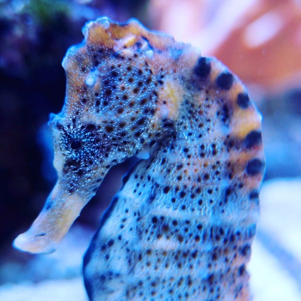 Professional Fish Keepers Aquarium - Pet Supplies Store