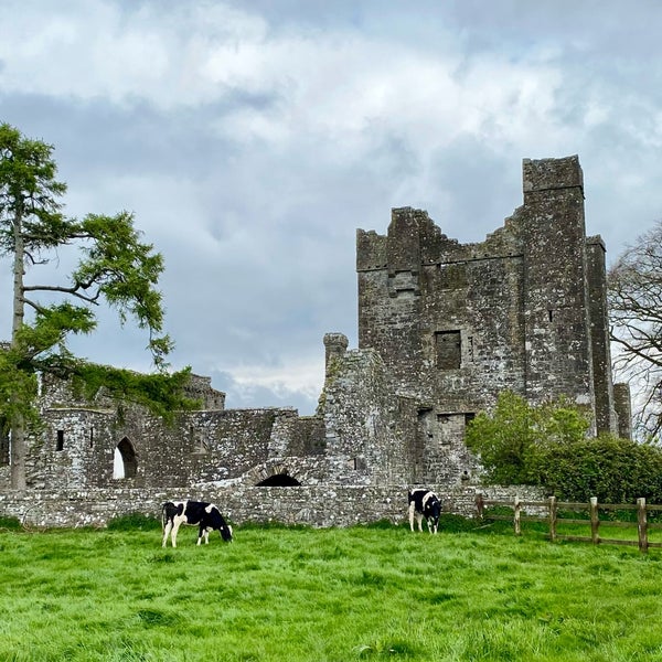Bective Abbey - Monument