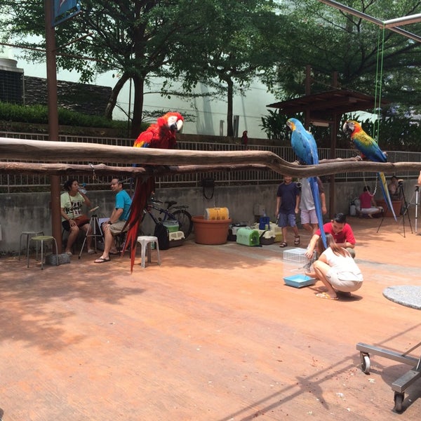 Goodwill Birds Trading