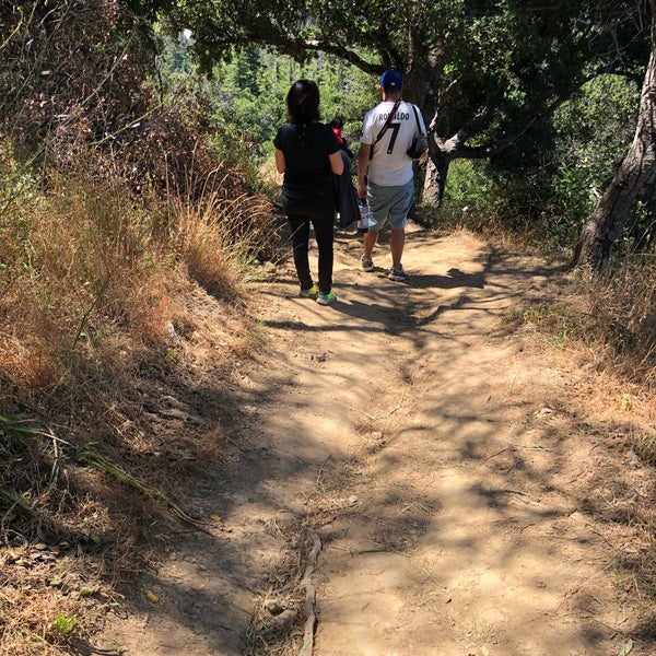 Pine Ridge Trail - Big Sur, CA