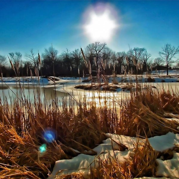 Photos at Isle a la Cache Museum/Preserve - History Museum in Romeoville