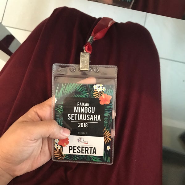 De Palma Signature - 27 visitors