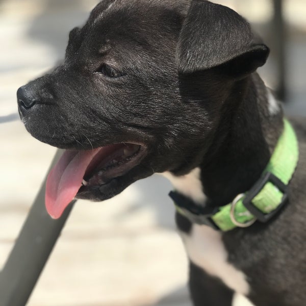 Rockingham, NC - City