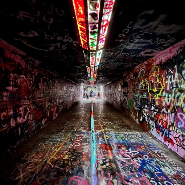 NC State Free Expression Tunnel - 2 tips