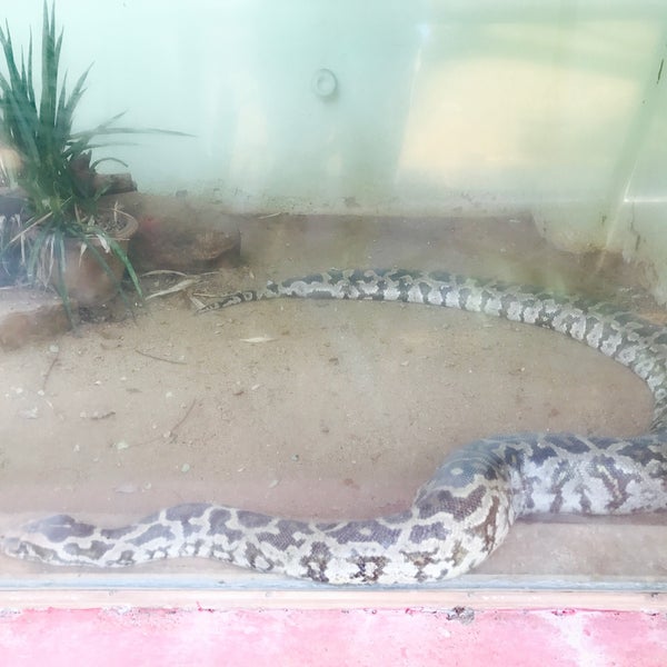 Guindy National Park And Snake Park