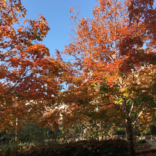 Levine Science Research Center - College Technology Building