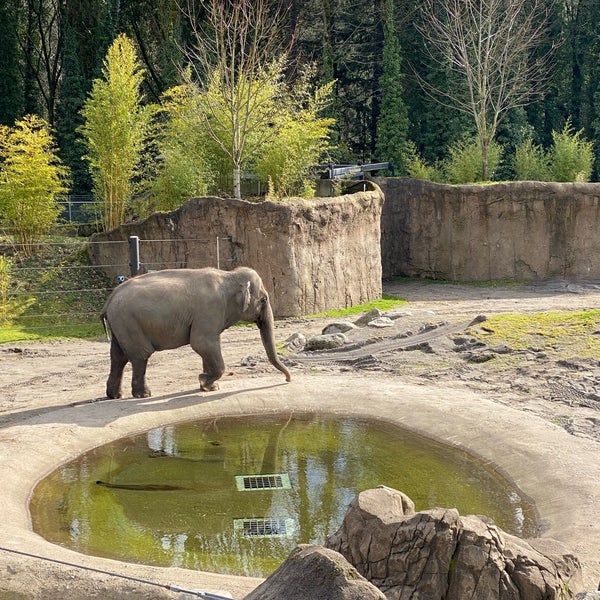 Oregon Zoo - Zoo