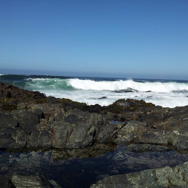 Playa Las Conchitas, Isla Negra