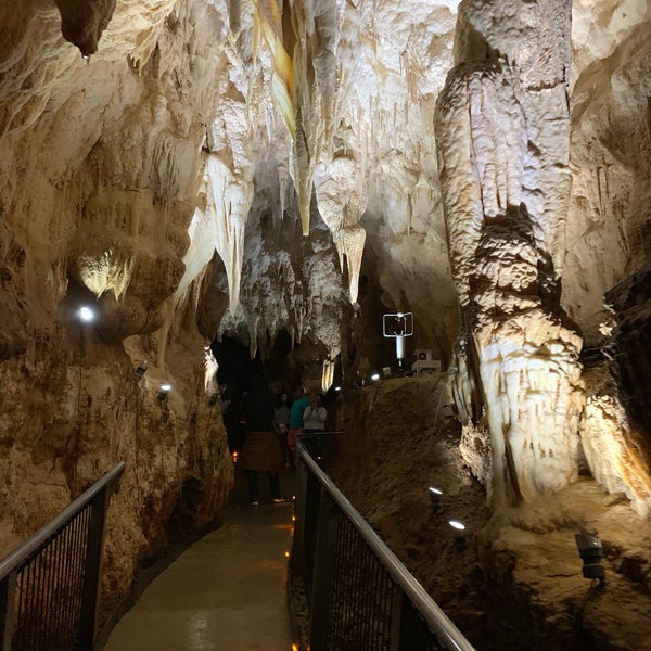 Ruakuri Cave - 5 tips
