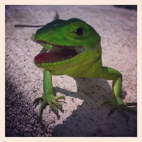 El Vainillo - Hiking Trail