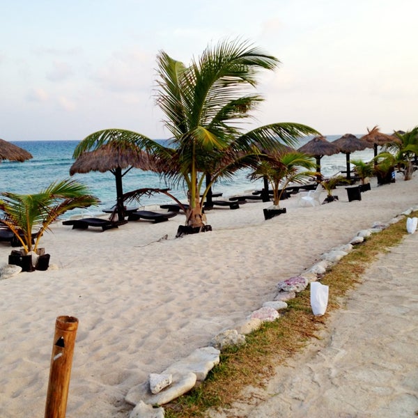 Blue Venado Beach Club - 18 tips from 759 visitors