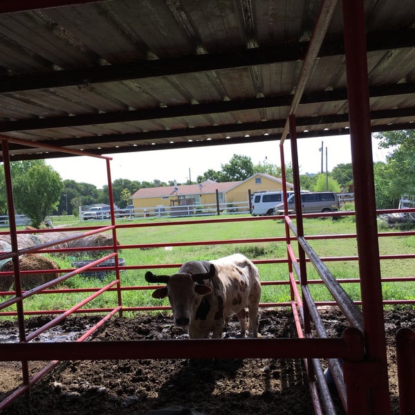 White Horse Ranch Adventures - Stables