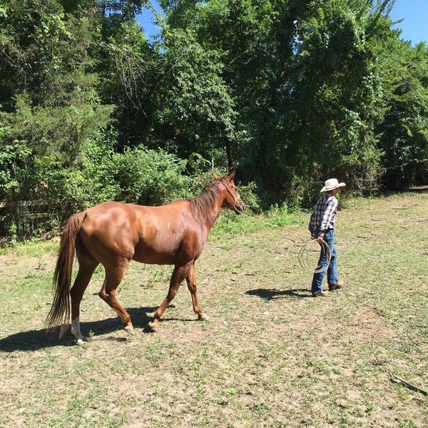 White Horse Ranch Adventures - Stables