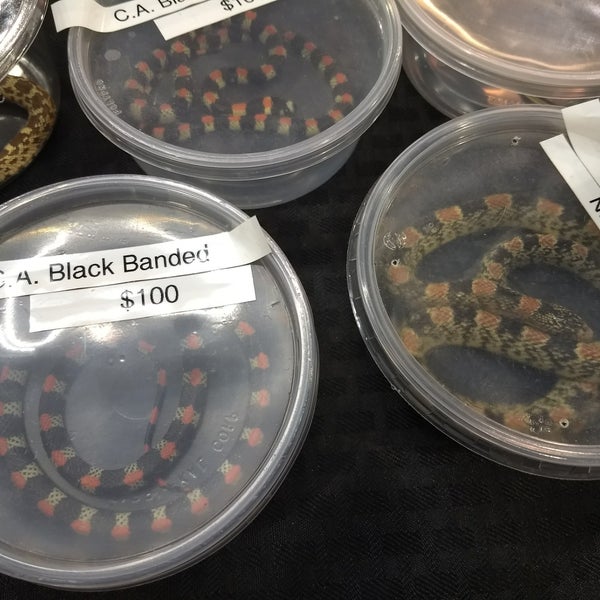 Kerr Scott Building - 1 tip