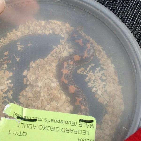 Kerr Scott Building - 1 tip