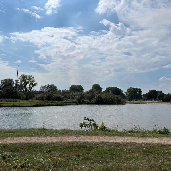 Lage Bergse Bos - Forest in Bergschenhoek