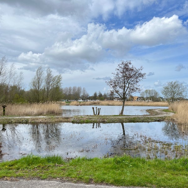 Zevenhuizerplas - Beach in Nesselande