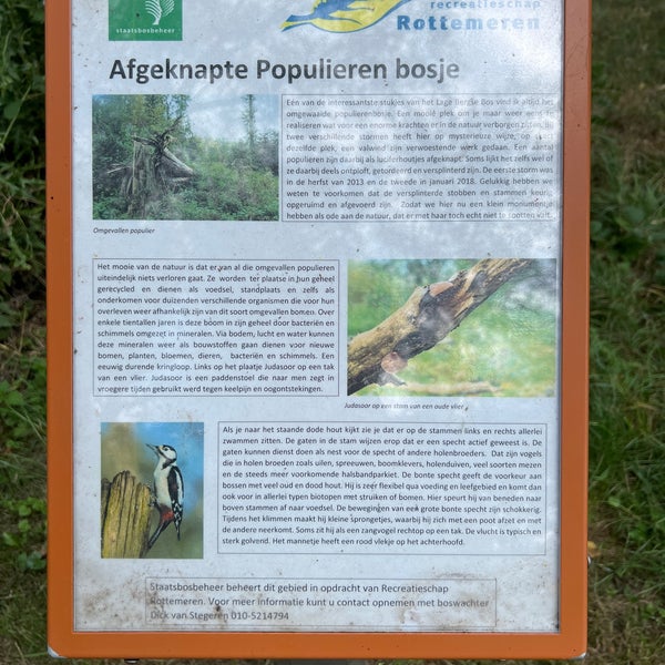 Lage Bergse Bos - Forest in Bergschenhoek