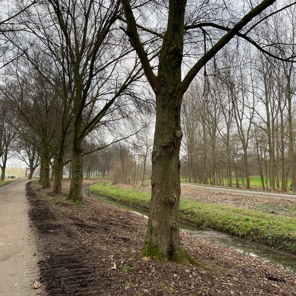 Lage Bergse Bos - Forest in Bergschenhoek