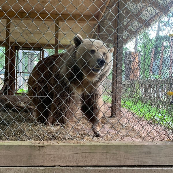 Bailiwick Ranch & Discovery Zoo - Other Great Outdoors