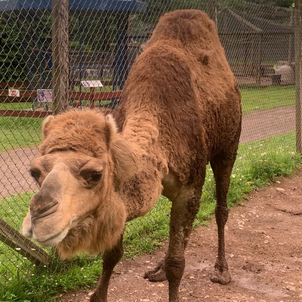 Bailiwick Ranch & Discovery Zoo - Other Great Outdoors