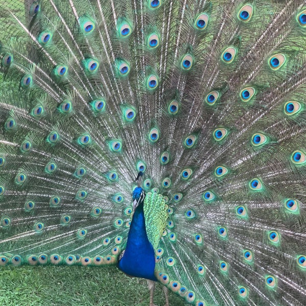 Bailiwick Ranch & Discovery Zoo - Other Great Outdoors