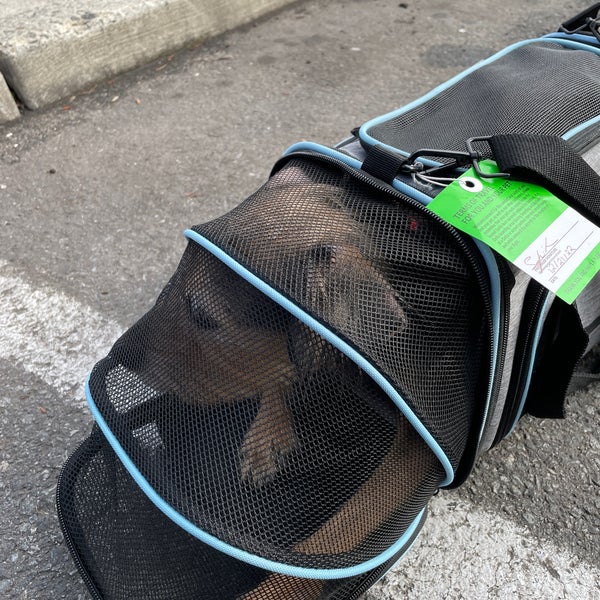 Photos at Mara Bakery - 501 Elizabeth Ave