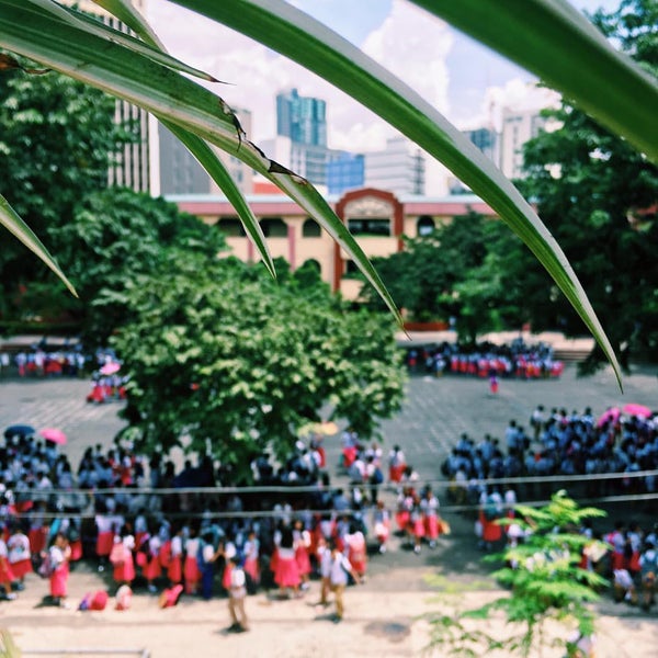 P. Gomez Elementary School - Education in Santa Cruz