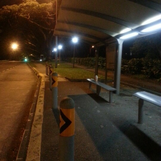 Tower Transit: Bus 169 - Bus Line in Yishun