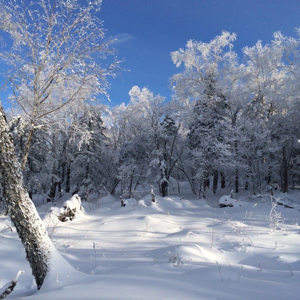 Manchuria Landscape Winter
