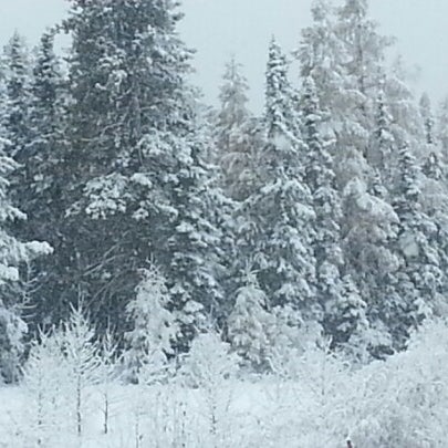 Cynthia Gas Station - Cynthia, AB