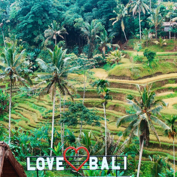 Rice Terraces Ubud Kaja - 3 tips from 198 visitors