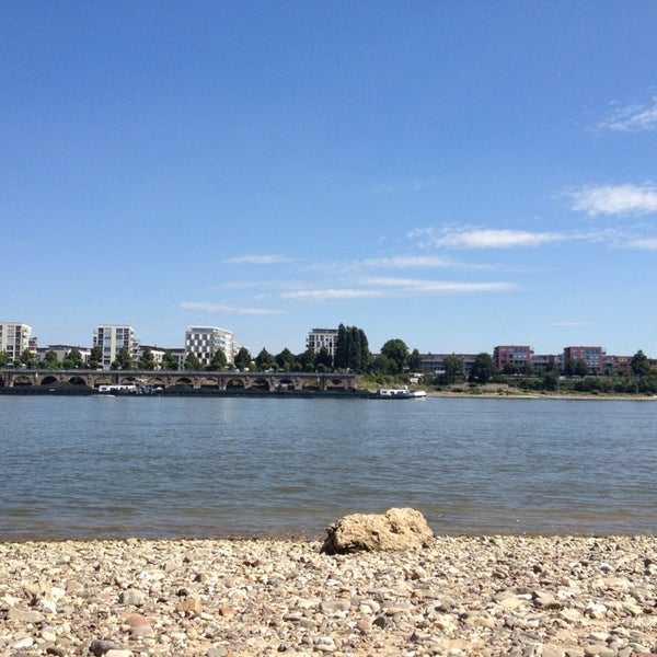 Rheinufer Köln-Niehl - Andere Naturgebiete in Köln