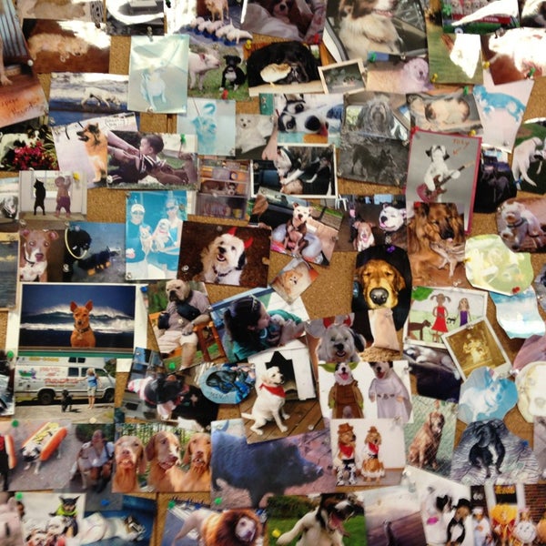 Dude Dogs - 3 tips from 141 visitors