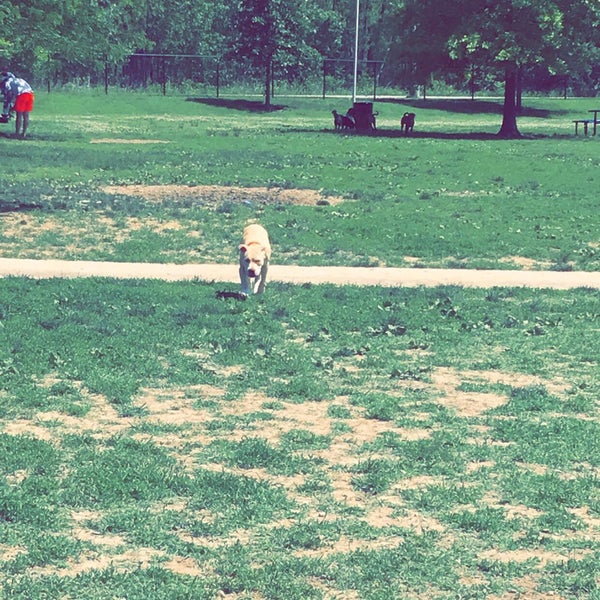 DuSable Dog Park - Saint Charles - 5 tips