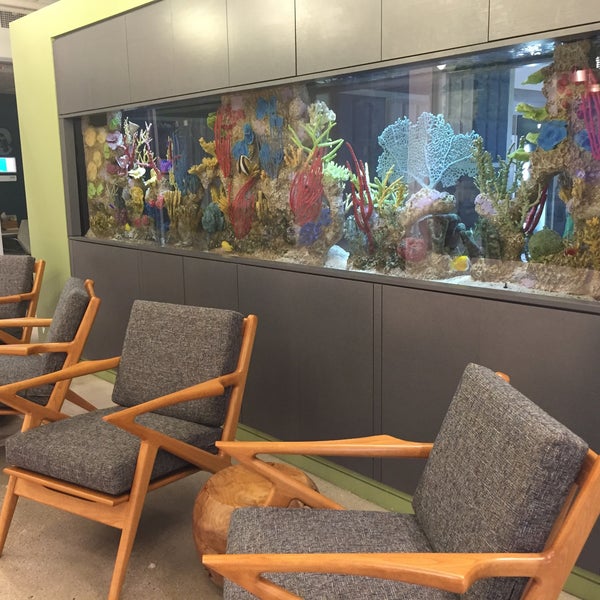 Twitter Boston - Tech Startup