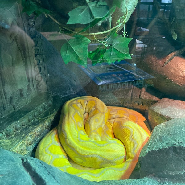 East Bay Vivarium - Pet Supplies Store in Berkeley