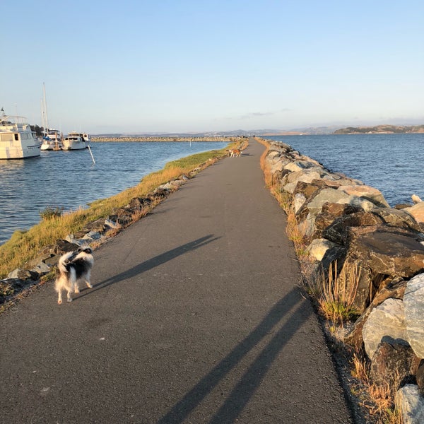 Loch Lomond Marina - Loch Lomond - San Rafael, CA