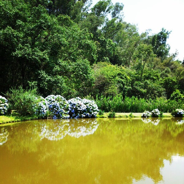 Monte Verde - City