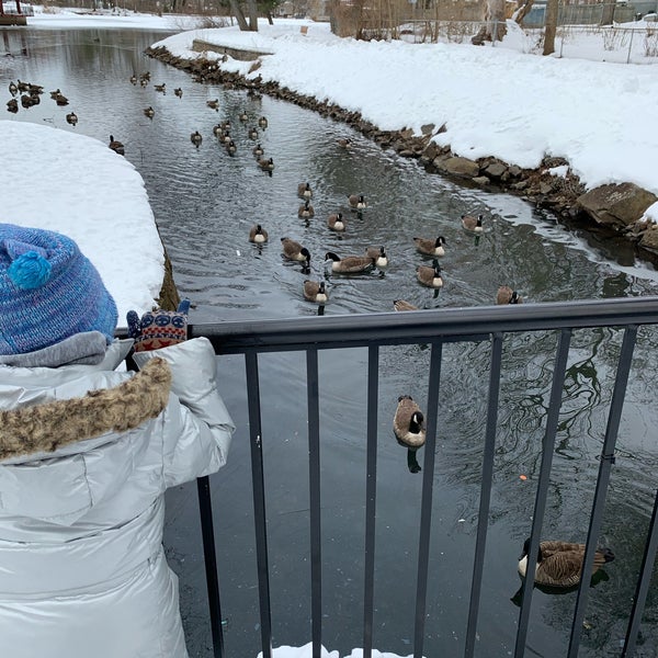 Photos at Cooper's Pond - Park