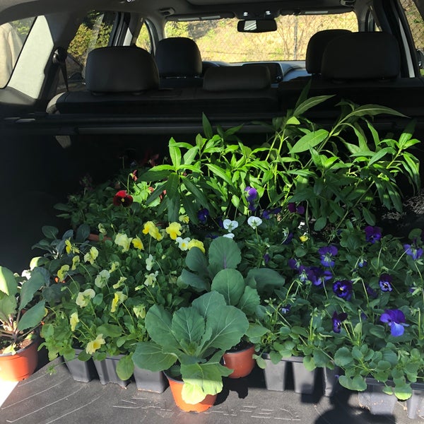 Growers Outlet - 7 tips