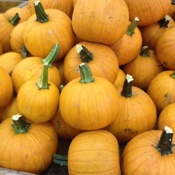 Chesterfield Berry Farm Market (Now Closed) - Midlothian, VA