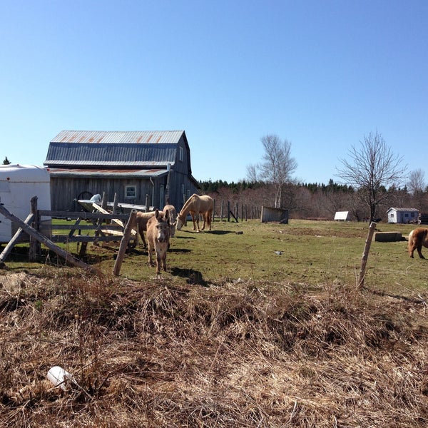 Amherst Shore