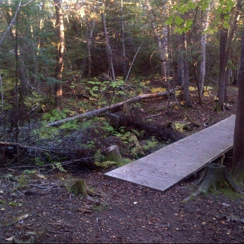 White Pine Path, Daly Point - Bathurst, NB