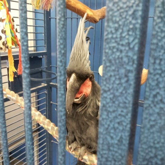 Photos at Bird Fever - Castleton - Indianapolis, IN