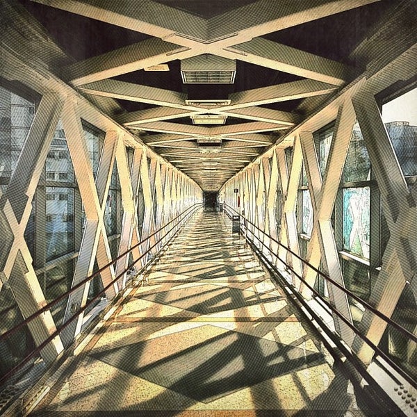 OHSU-VAMC Skybridge - 3 tips from 191 visitors